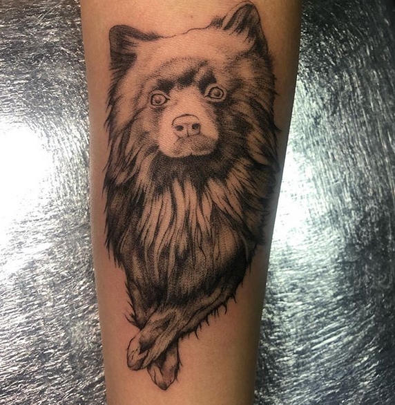 14 Awesome Tattoo Ideas For Pomeranian Owners | PetPress