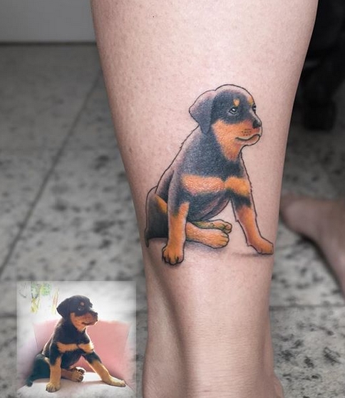 14 Incredibly Realistic Rottweiler Tattoos For Breed Lovers | PetPress