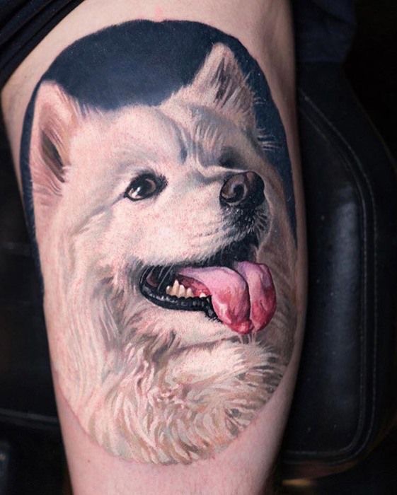 14 Samoyed Tattoos to Celebrate Your Four-Legged Best Friend | PetPress