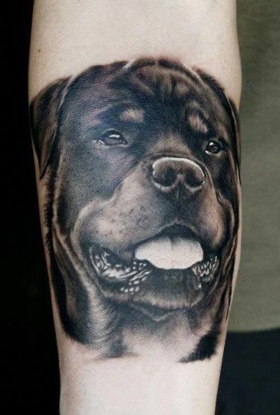 The 16 Cutest Rottweiler Tattoo Design Ideas | PetPress