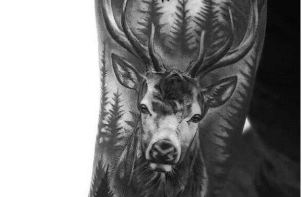 12+ Best Stag Sleeve Tattoo Ideas - PetPress