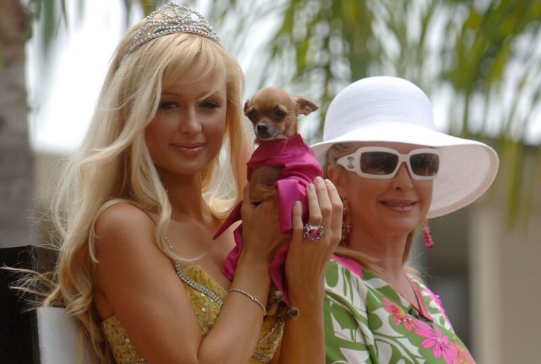 Chihuahua Dog Names - Over 500 Gorgeous Ideas! | PetPress